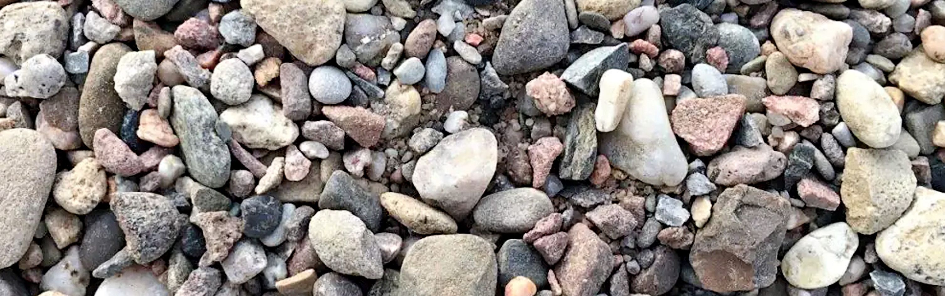 Buy Back to Nature Biotope substrate | Back to Nature Shop