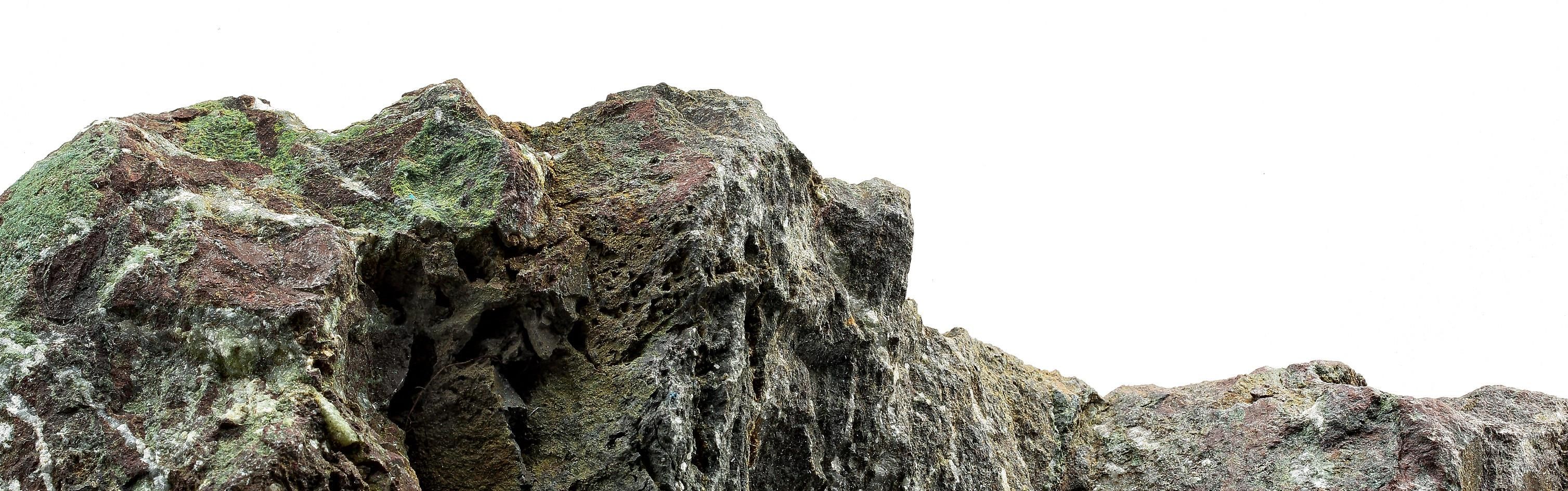 Buy ADA Stones & Wood | ADA Shop