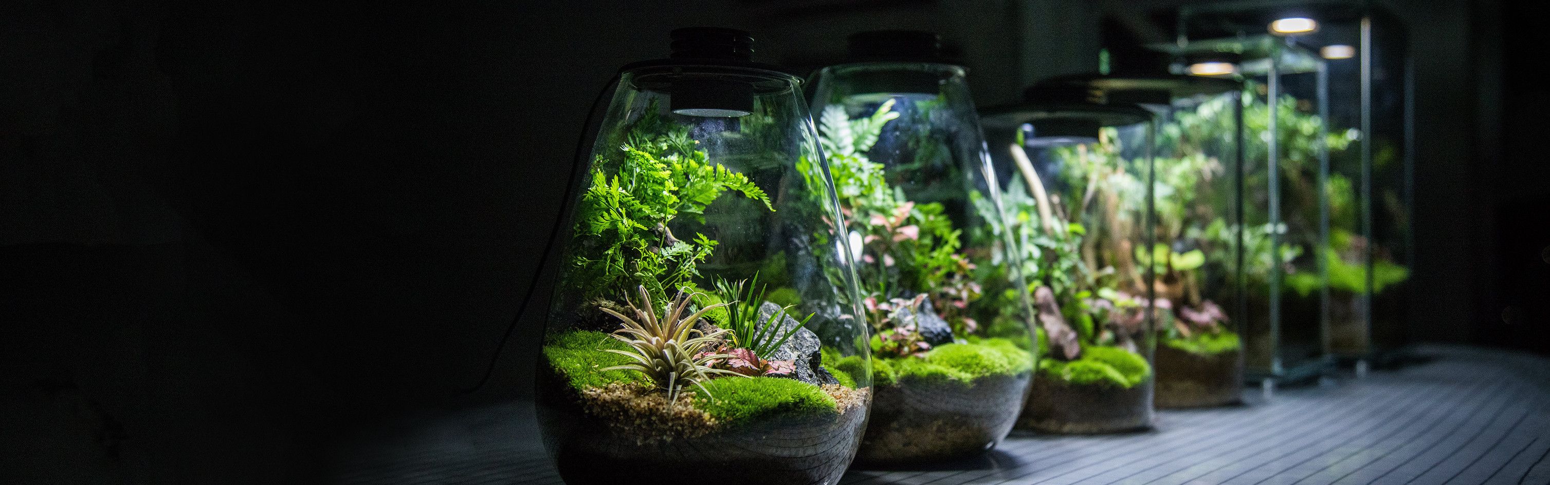 Buy Bioloark Bio Bottles | Bioloark Shop