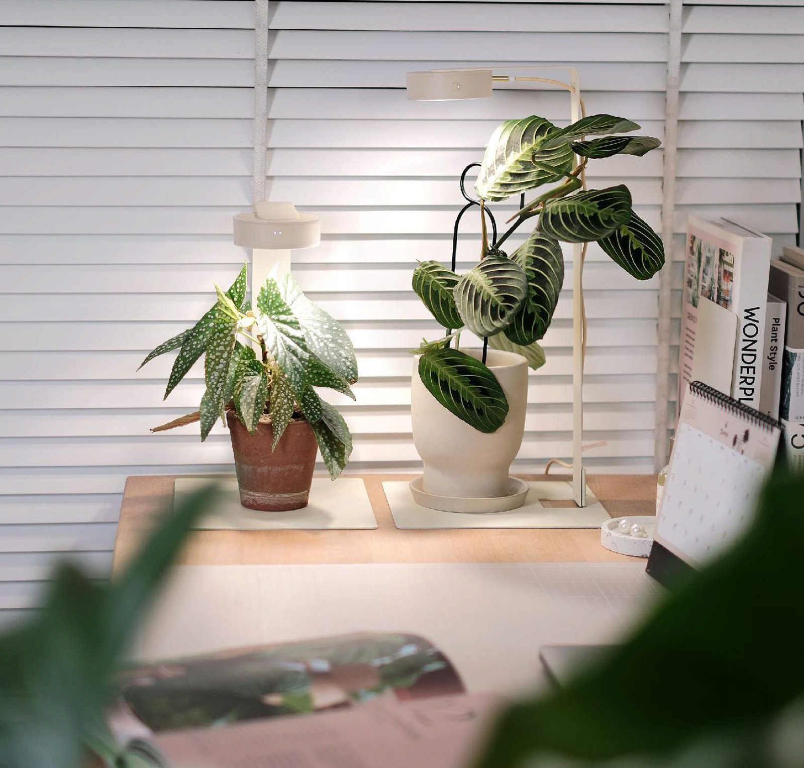 ONF - Mist O+ | Aquasabi - Aquascaping Shop