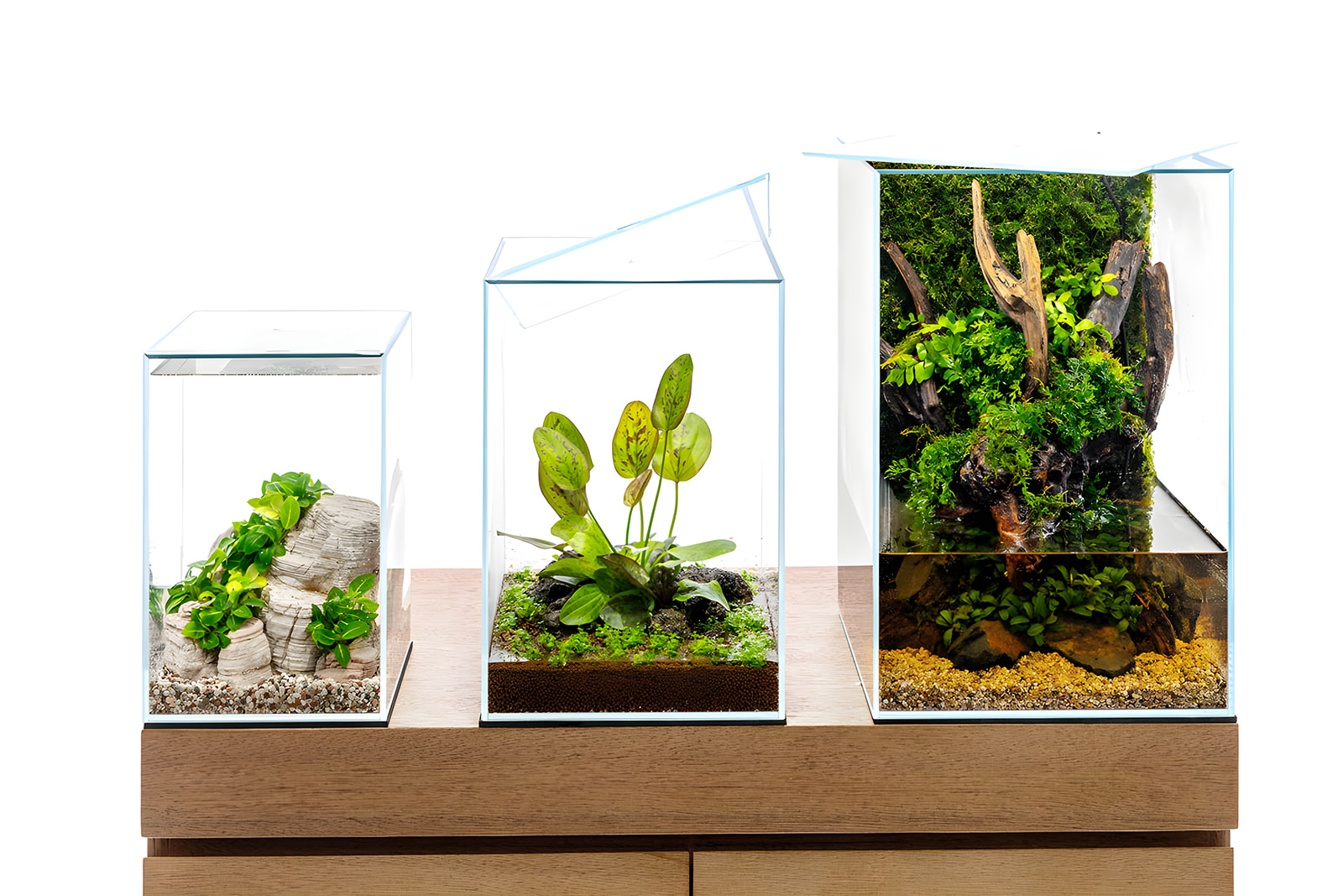 UNS - Prism | Aquasabi - Aquascaping Shop