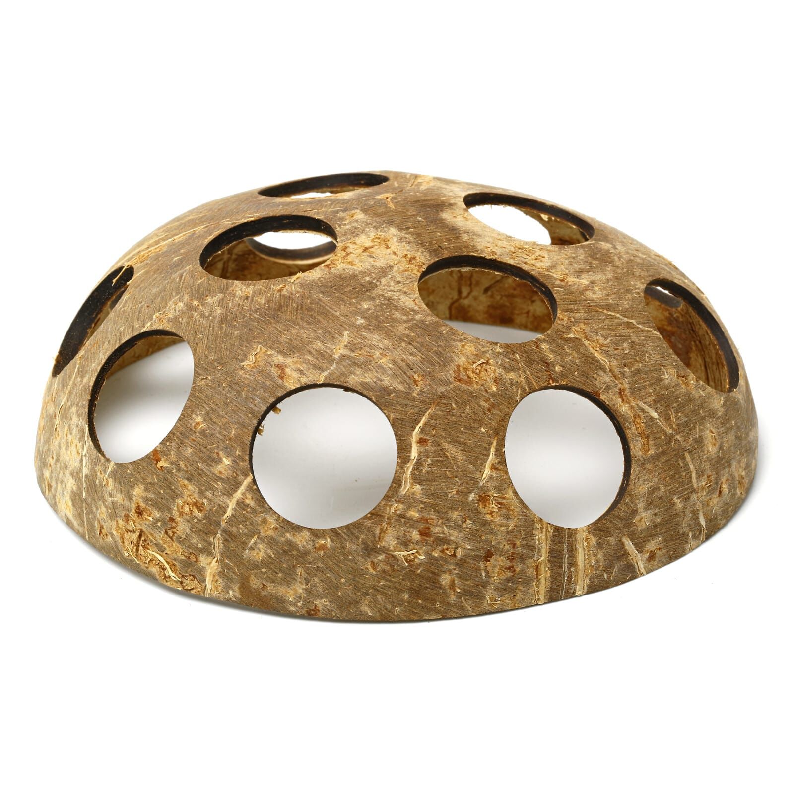 Coconut half shell - polished + perforated | Aquasabi - Aquascaping Shop