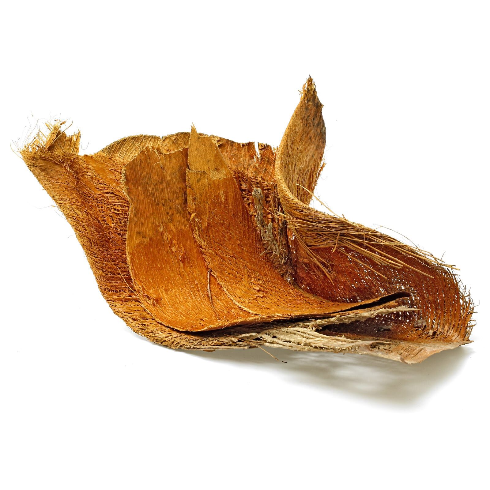 Arecafibers | Aquasabi - Aquascaping Shop