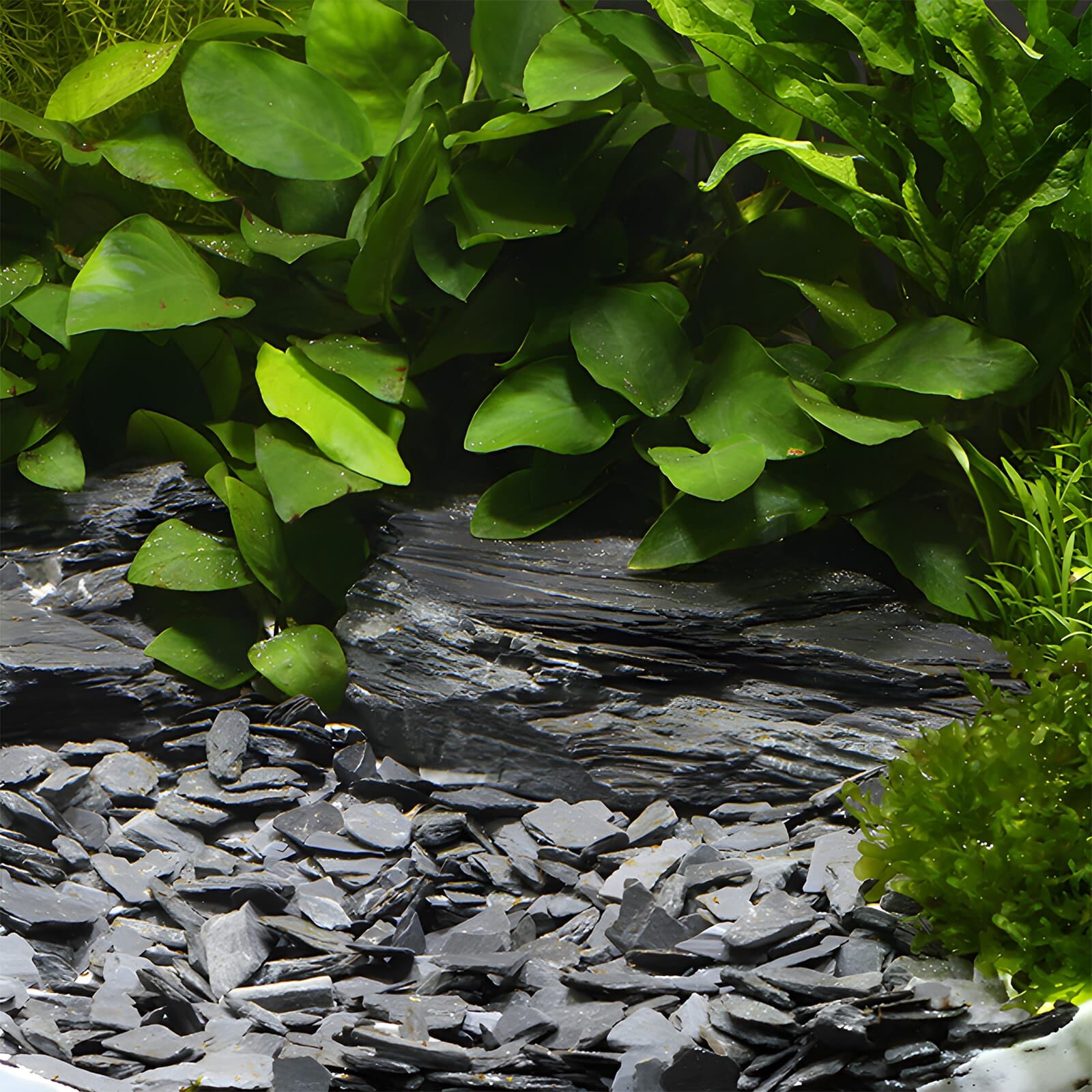 Dennerle - Natural Gravel - Kongo - 10-30 mm - 2,5 kg | Aquasabi ...