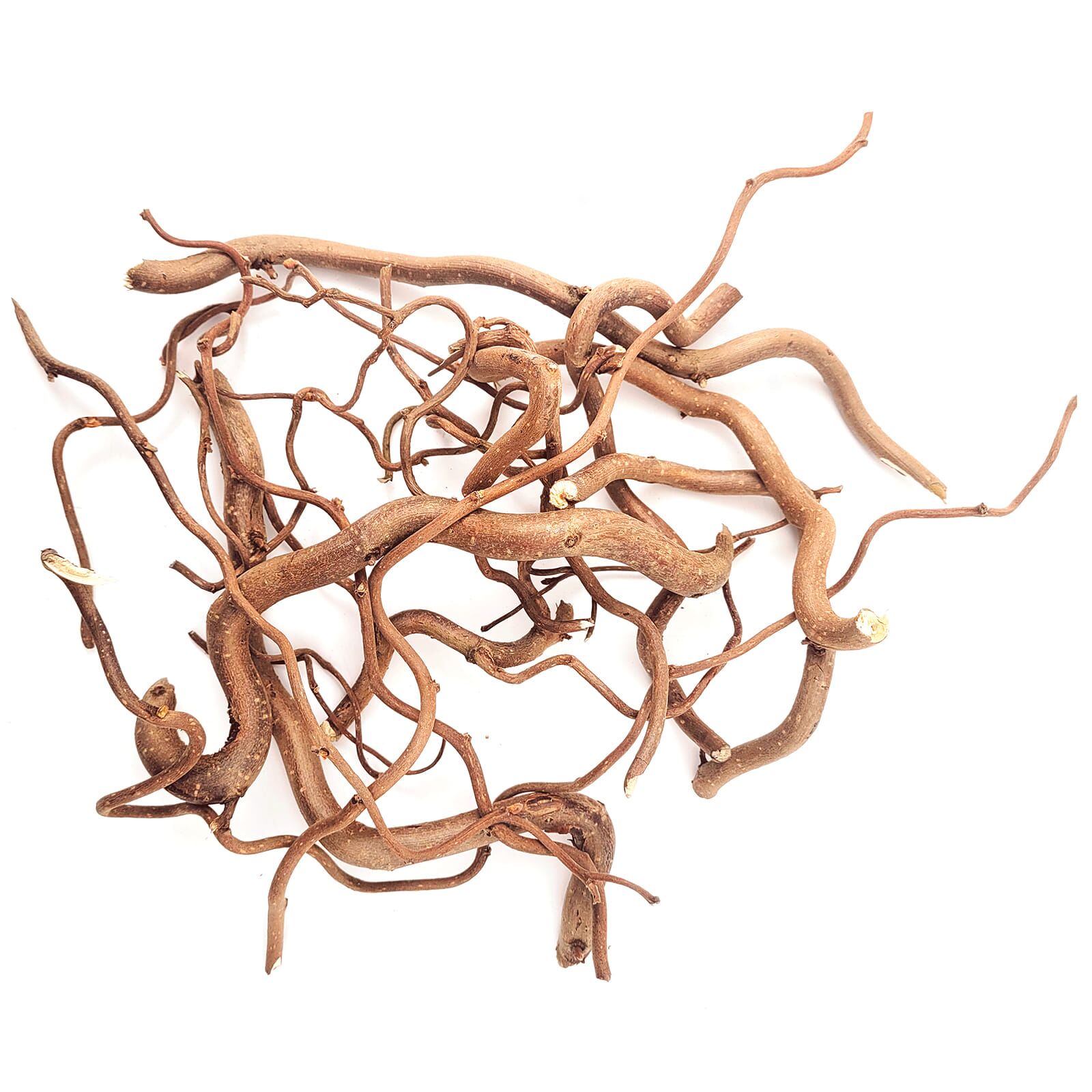 WIO - Decor-Roots Twisted Roots | Aquasabi - Aquascaping Shop