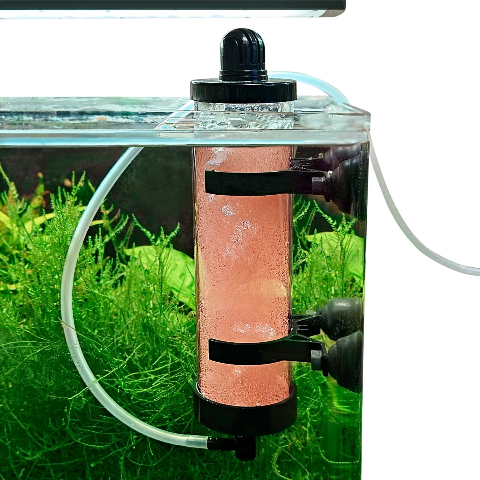 Hobby - Artemia Easy Breeder | Aquasabi - Aquascaping Shop