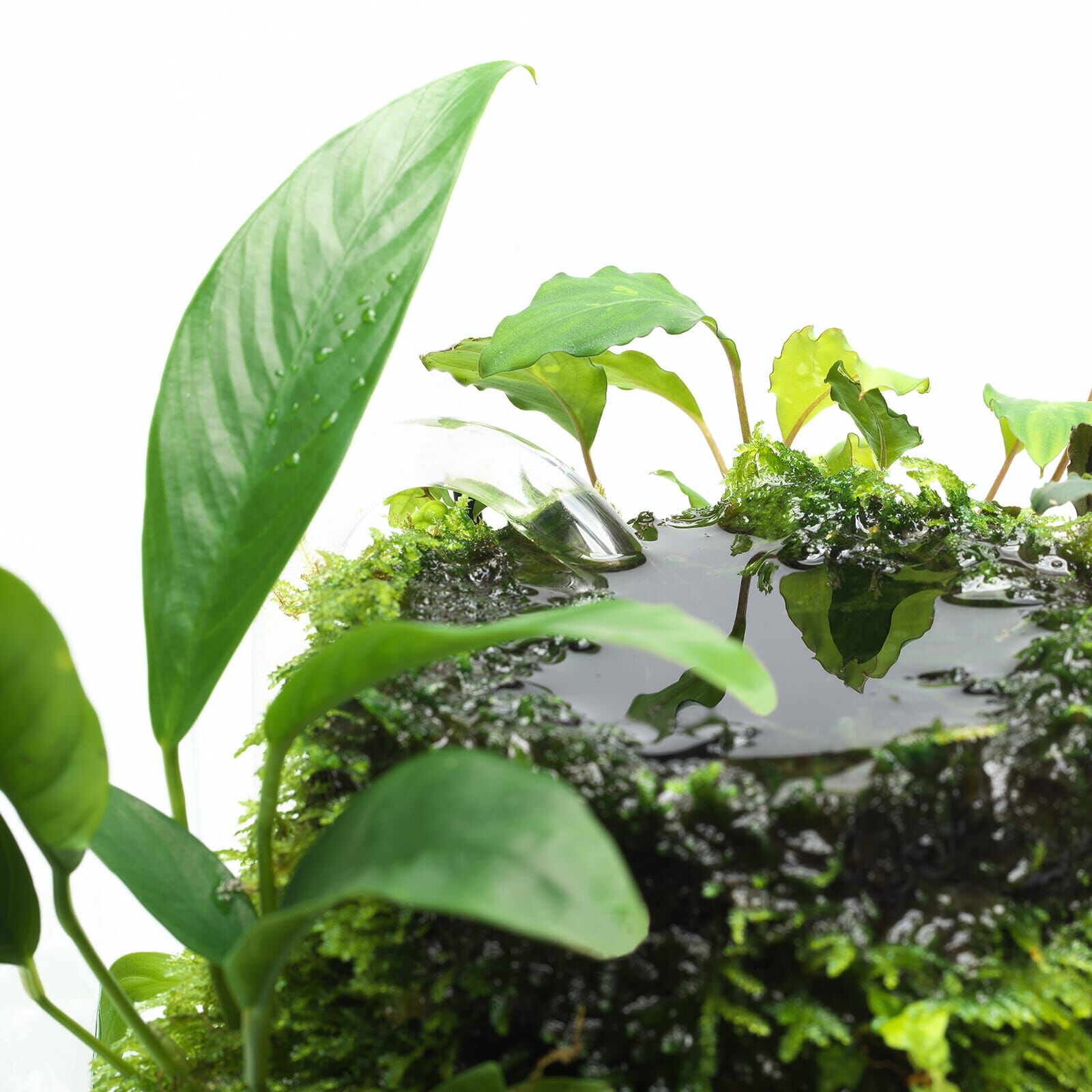 DOOA - Terra Base Flow Pipe | Aquasabi - Aquascaping Shop