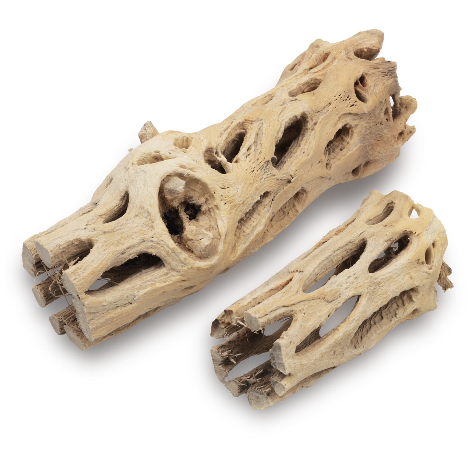 Cholla Wood light Mix - 8 + 15 cm - 2,5-4 cm | Aquasabi - Aquascaping Shop
