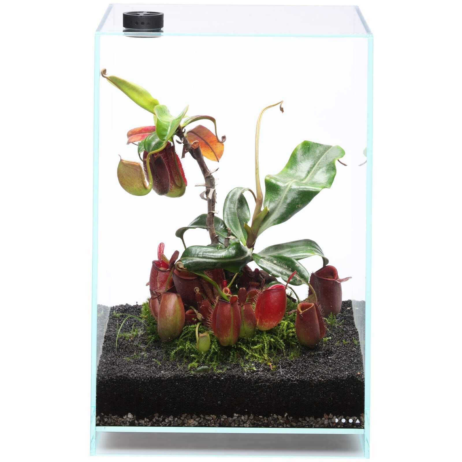 DOOA - Neo Glass - Cover Plate for Circulation Fan 40 - 30x30 cm ...