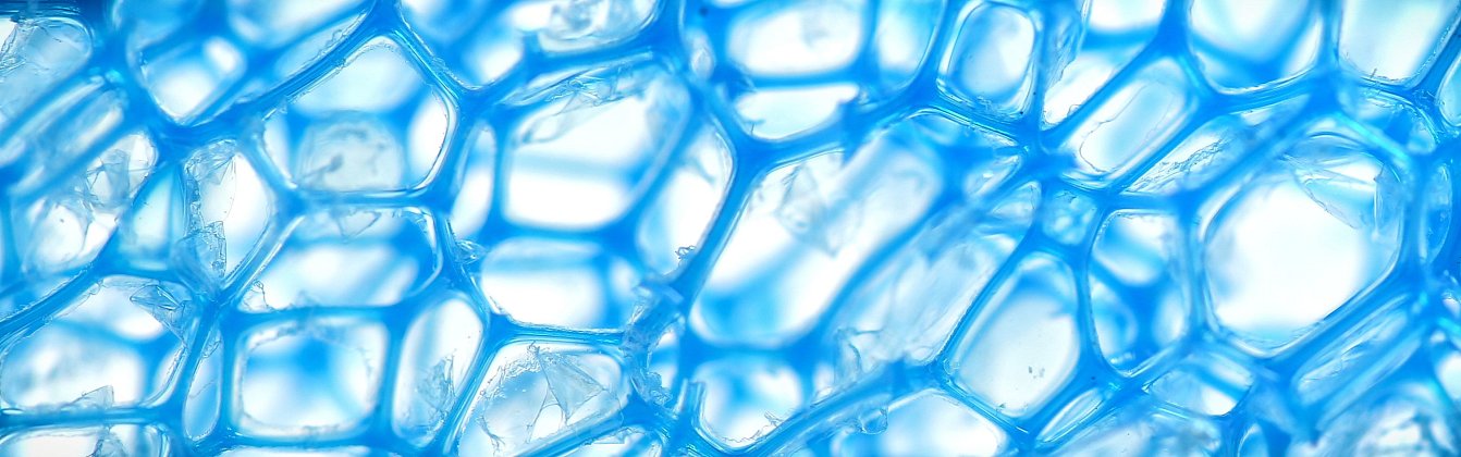 Buy Filter mats for the aquarium | AQUASABI Shop