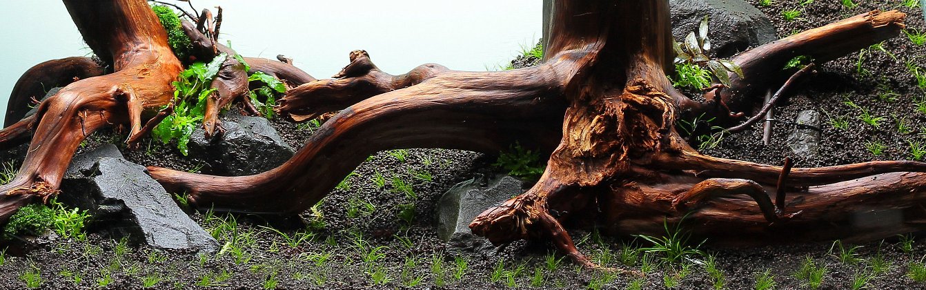 Buy substrate at at great price | AQUASABI Shop