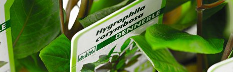 Buy Dennerle Aquarium products | Dennerle Shop