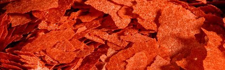 Buy Dennerle Aquarium products | Dennerle Shop