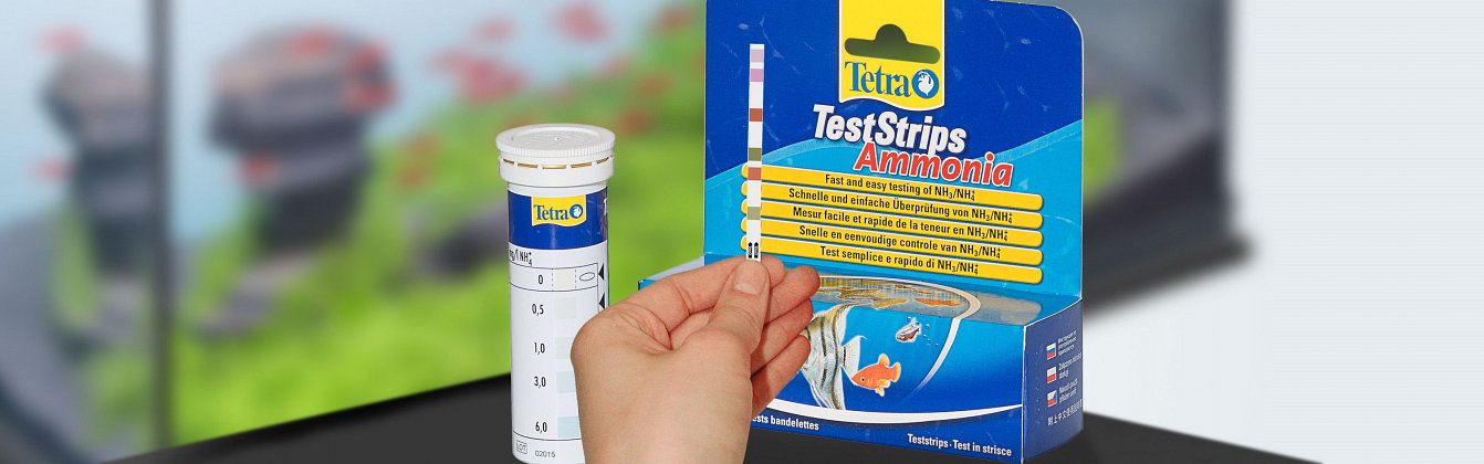 Buy Tetra water Test products | Tetra Shop